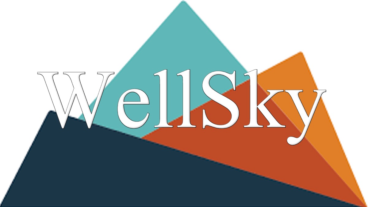 Revolutionizing Healthcare: WellSky Launches National Care Coordination ...